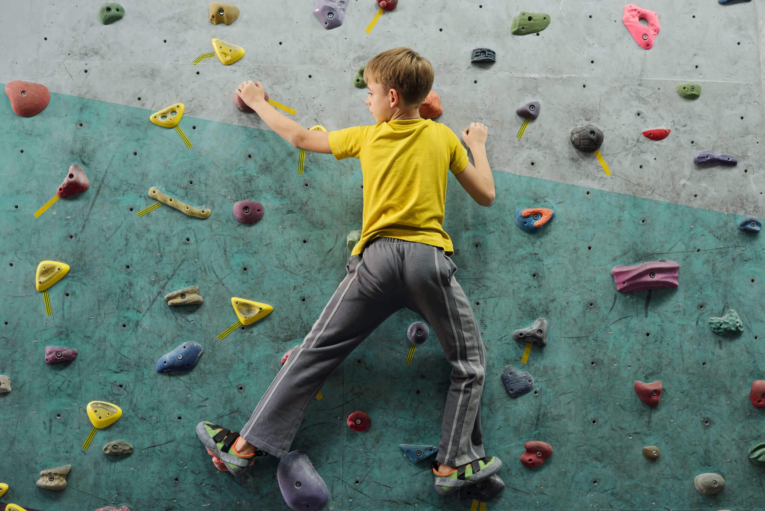 Climbing Walls - SproutFile